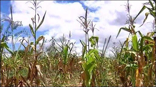 Drought: The next big risk | Analysis | Global Reinsurance