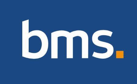 BMS makes two senior leadership hires in London and Miami | Global ...