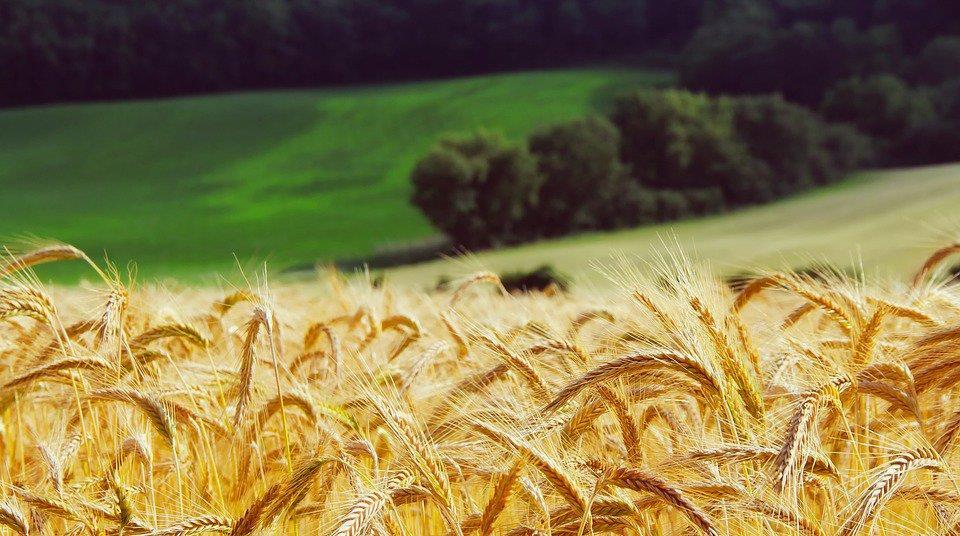 Sompo International completes acquisition of Diversified Crop Insurance ...