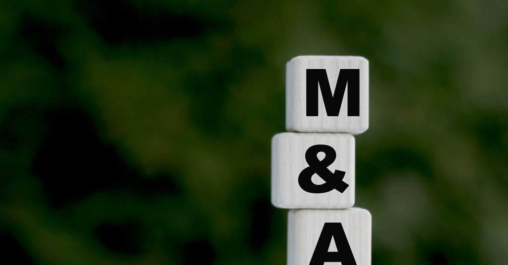 Insurance M&A hits post-pandemic peak in 2022 | News | Global Reinsurance