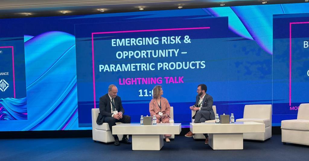 DWIC 2025: Parametric products step up to fill protection gaps | Global Reinsurance